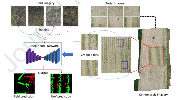 张前贺个人简介 | YOUTH